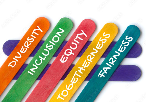 The Power of Equity Sticks: Promoting Fairness and Inclusion in the ...